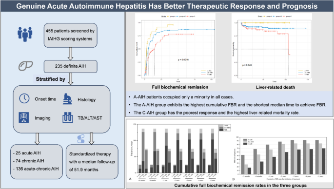 Genuine acute autoimmune hepatitis has better therapeutic response and ...