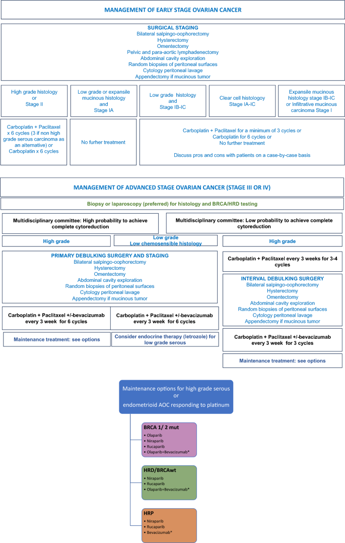 SEOM–GEICO clinical guideline on epithelial ovarian cancer (2023 ...