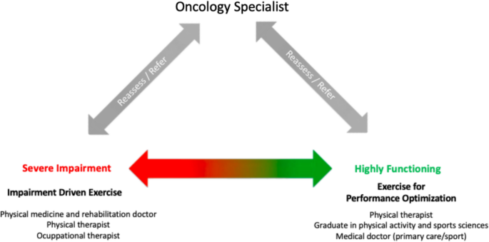 Exercise in cancer patients: assistance levels and referral pathways—a ...