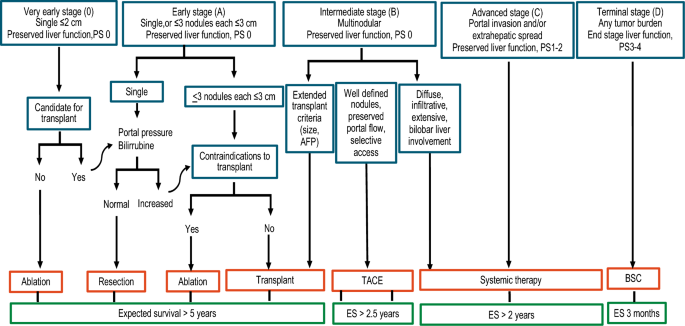 SEOM-GEMCAD-TTD clinical guidelines for the management of ...