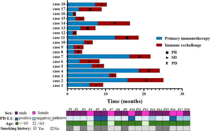 Rechallenge immunotherapy after immune resistance in patients with advanced thymic carcinoma ...