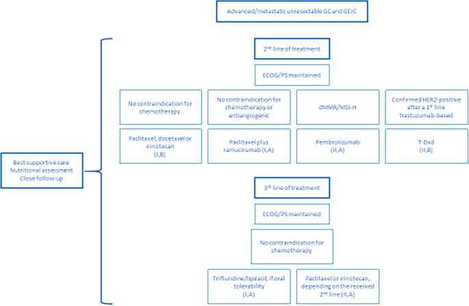 SEOM-GEMCAD-TTD clinical guideline for the diagnosis and treatment of ...