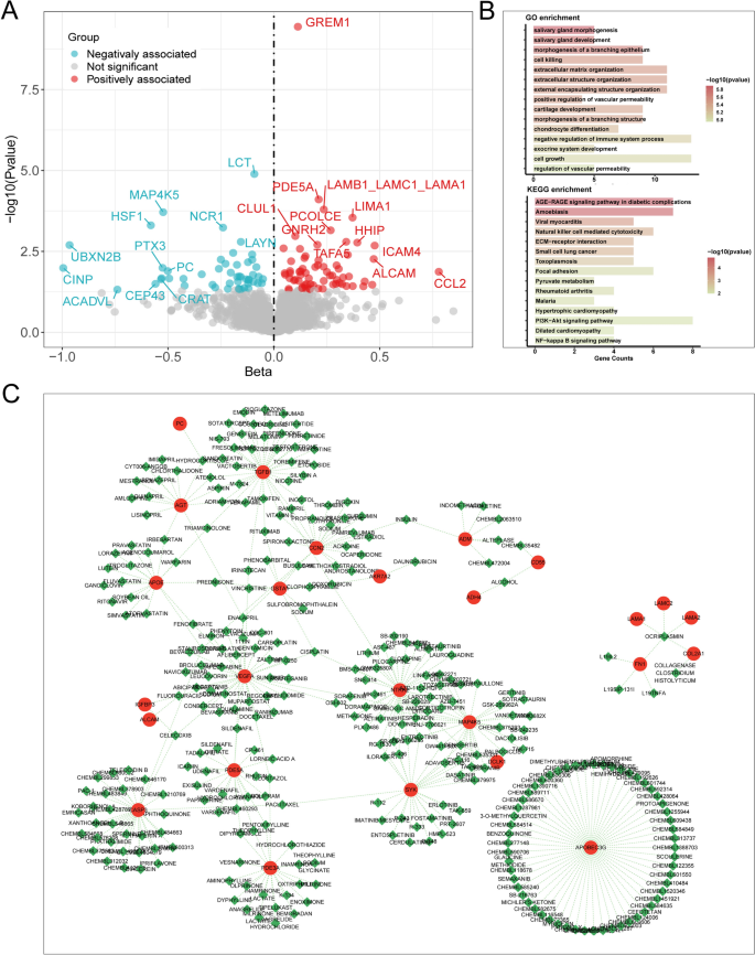 Integrating plasma proteome with genome reveals novel protein ...