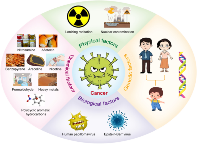 Interplay between the gut microbiota, its metabolites and carcinogens ...