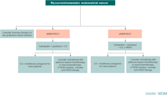 SEOM-GEICO clinical guidelines on endometrial cancer (2025) | Clinical ...