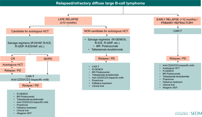 SEOM–GOTEL clinical guidelines on diffuse large B-cell lymphoma (update ...