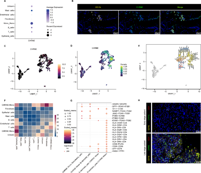 Neuroactive ligand–receptor interaction in gastric cancer: a ...