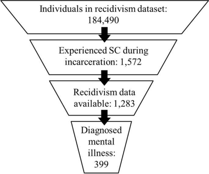 Unlocking the Truth: Exploring the Impacts of Solitary Confinement on ...