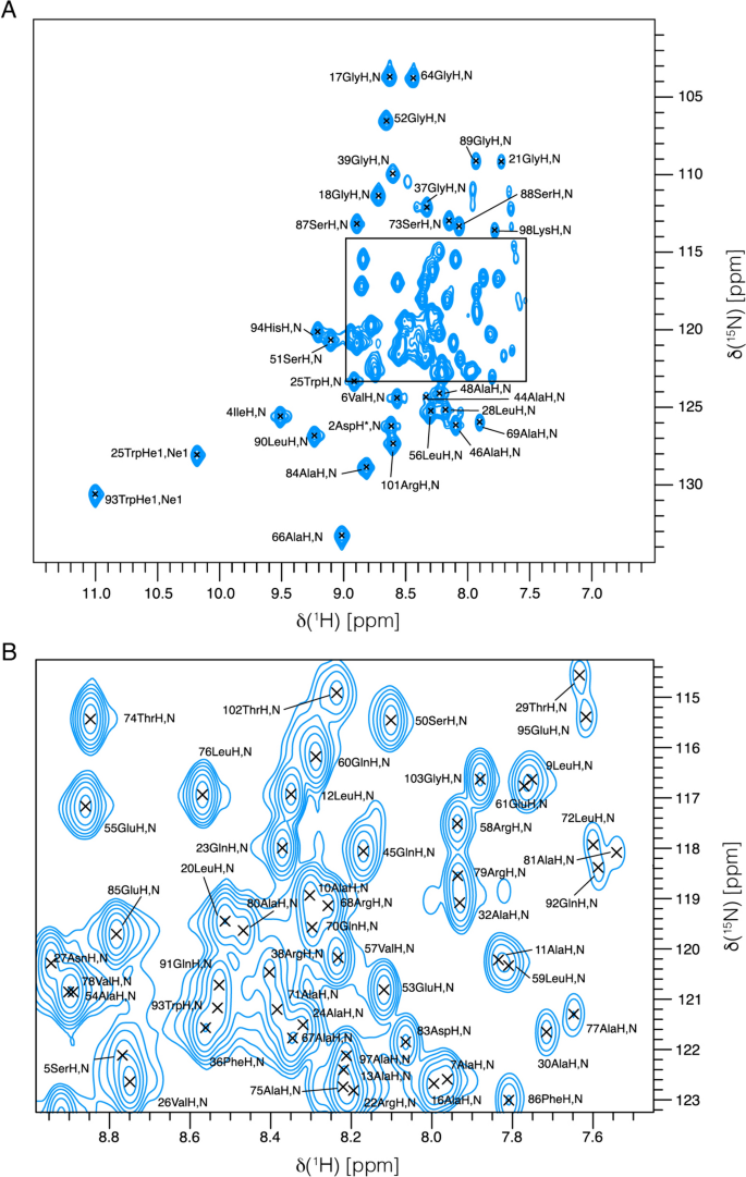 NMR resonance assignment of the cell death execution domain BELL2 from ...