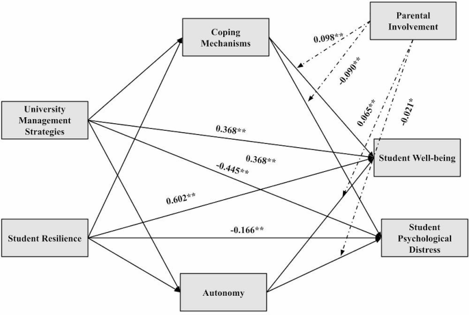 The influence of university management strategies and student ...