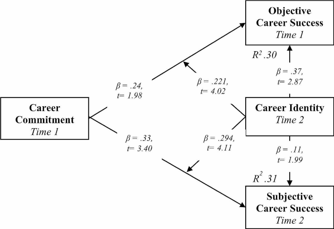 Understanding how career identity as a moderator shapes the ...