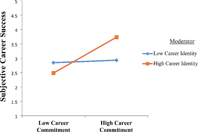 Understanding how career identity as a moderator shapes the ...