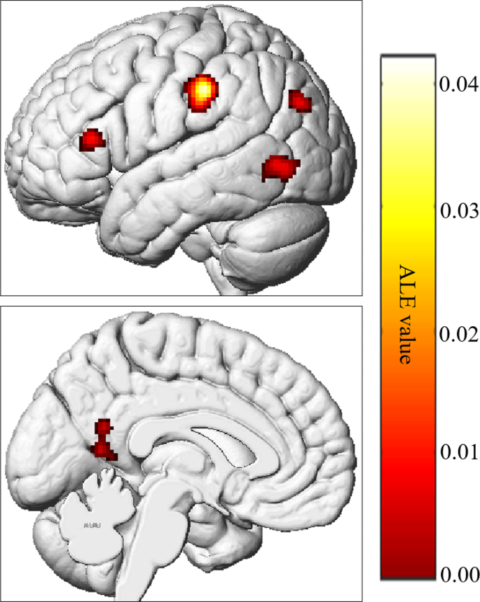 The brain networks of alternative use task: a meta-analytic ...