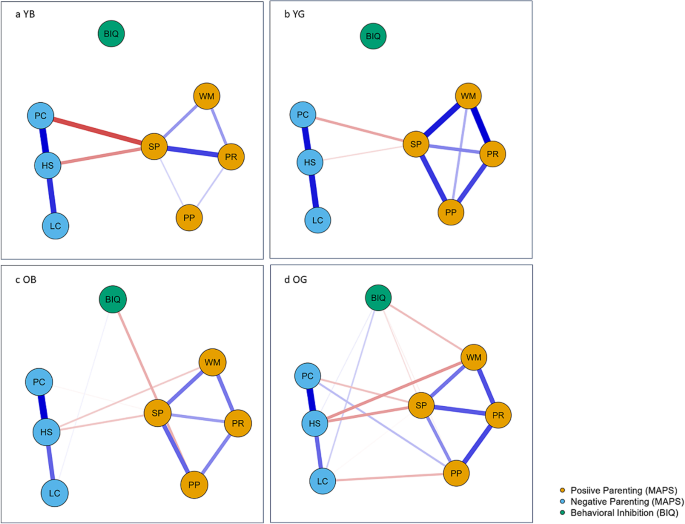 A network analysis of age and gender differences in the connection ...