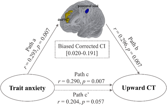The neural basis responsible for the relationship between trait anxiety and upward ...
