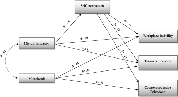 Sexist Microaggressions and Internalised Stereotypes of Women: Impact ...