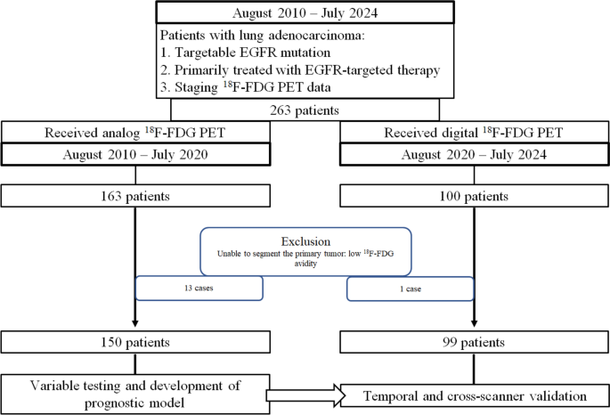 The prognostic value of 18F-FDG PET-derived whole-body feature in ...
