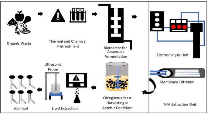 Pretreatment and Extraction of Anaerobic Digestion-Derived VFAs for ...