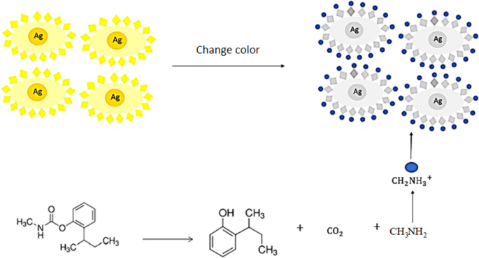 Physicochemical Characterization of Starch/Citrate-Capped Plasmonic ...