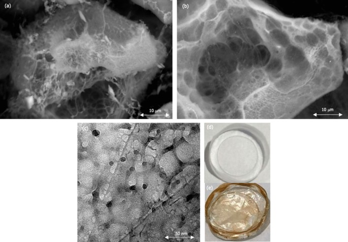 Physicochemical Characterization of Starch/Citrate-Capped Plasmonic ...