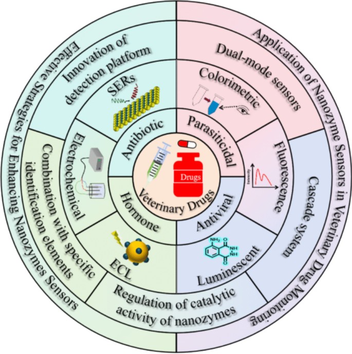 Recent Advances in Nanozyme-Based Sensors for the Detection of ...