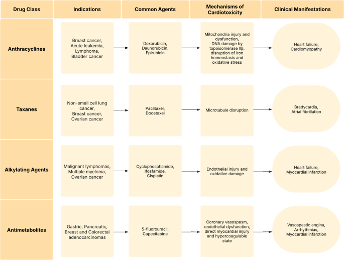 Cardiac Toxicities of Cancer Therapies: From Traditional Agents to ...