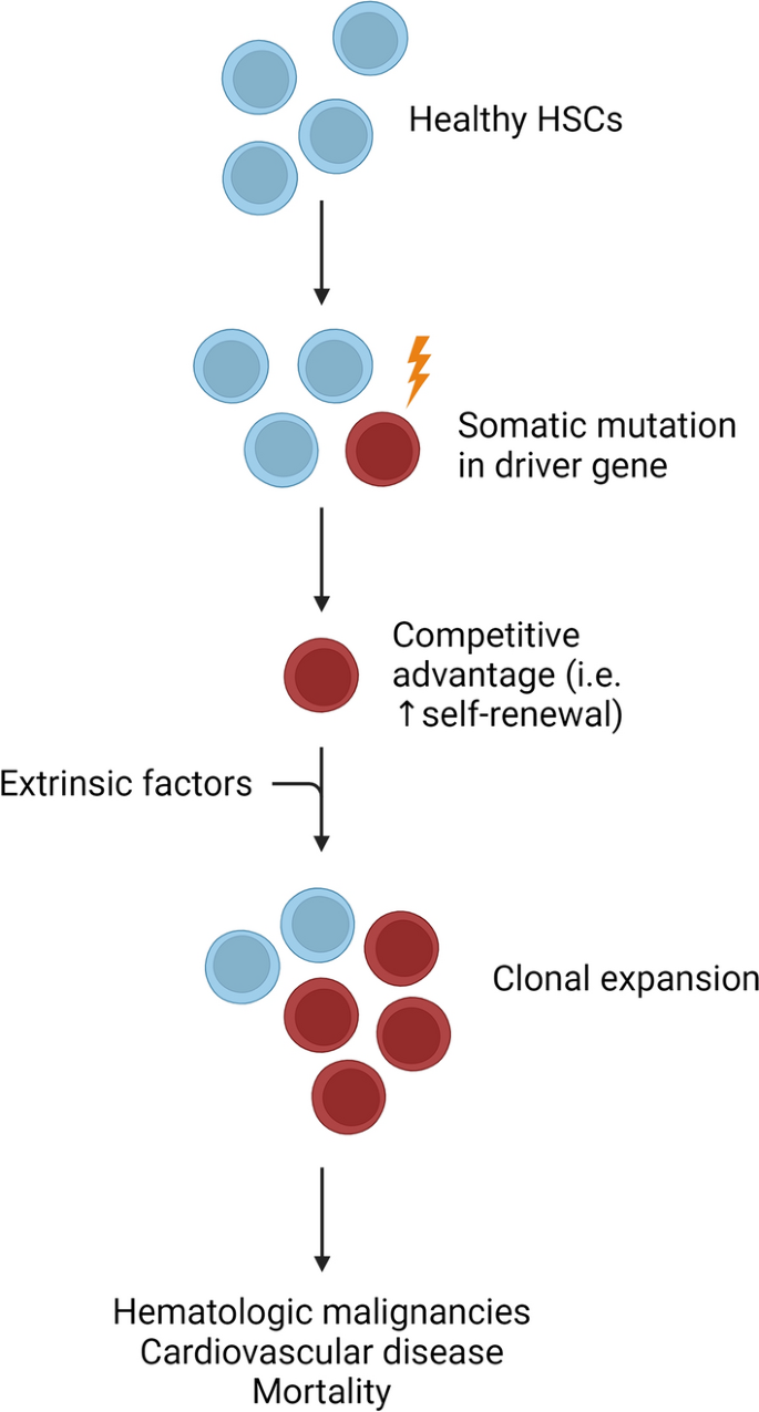 Dynamics of clonal hematopoiesis and risk of hematologic malignancy | International Journal of ...