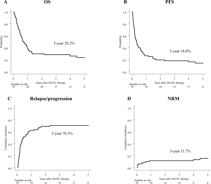 Comprehensive assessment of DeVIC therapy for relapsed or refractory ...