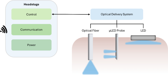 Wireless Devices for Optical Brain Stimulation: A Review of Current ...