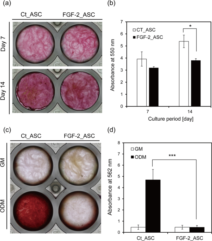 FGF-2–Overexpressing Adipose-Derived Stem Cells as a Paracrine Platform ...