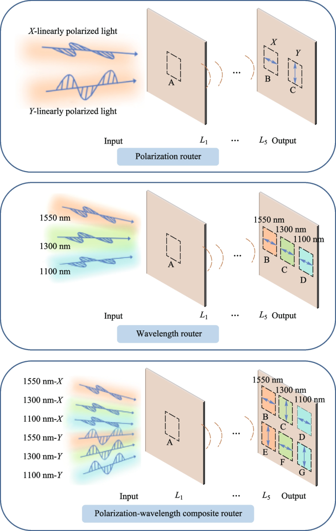 Polarization and wavelength routers based on diffractive neural network ...