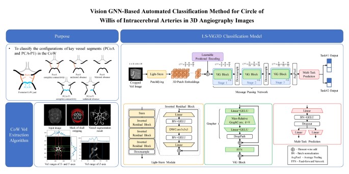 Vision GNN-Based Automated Classification Method for Circle of Willis ...