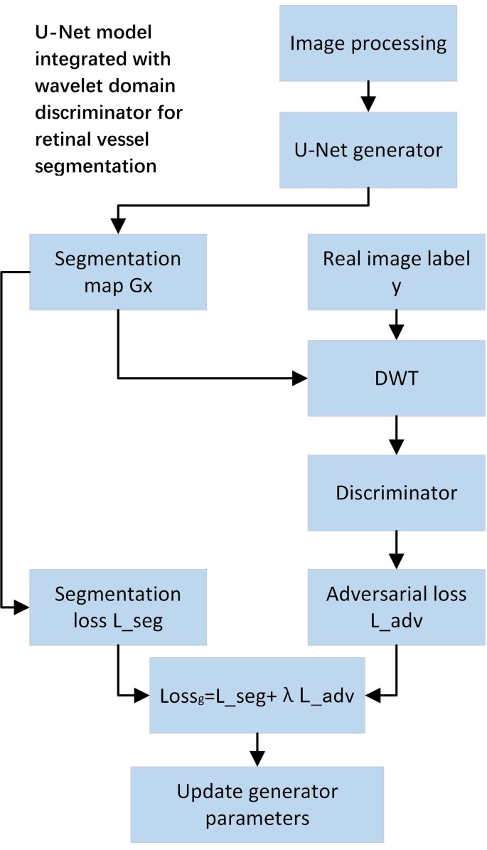 U-Net Model Integrated with Wavelet Domain Discriminator for Retinal ...