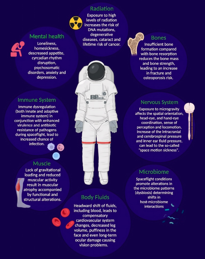 Exploring the Frontier of Space Medicine: The Nexus of Bone Regeneration and Astronautic Health ...