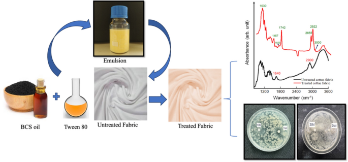 Preparation and Application of Black Cumin Seed Oil Emulsion with ...