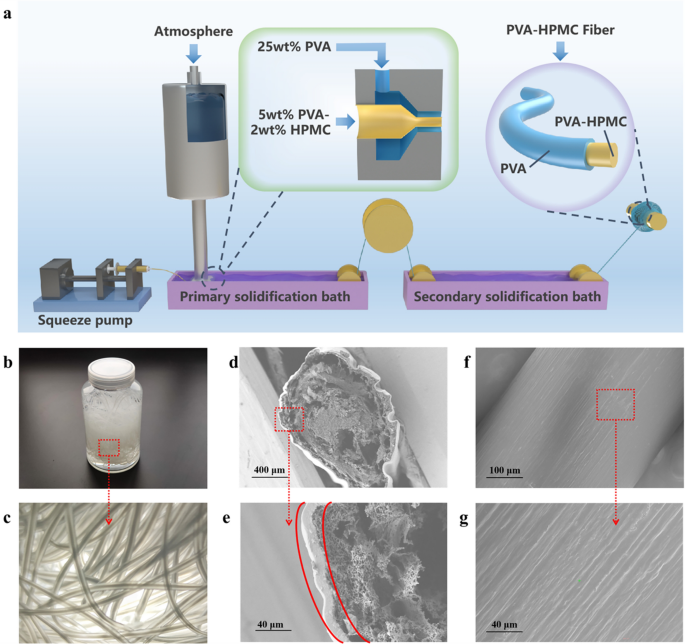High-Strength and High-Conductivity Core-Sheath Hydrogel Long Fibers ...