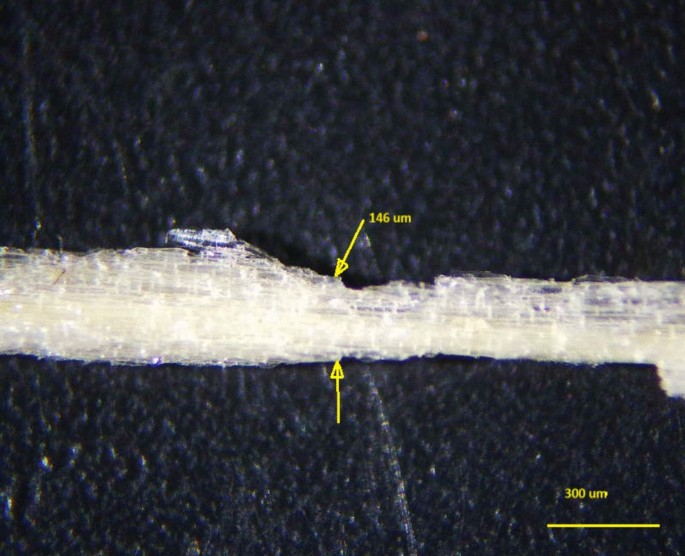 Characterization of 3D-Printed Polylactic Acid (PLA)–Hemp Microfiber ...