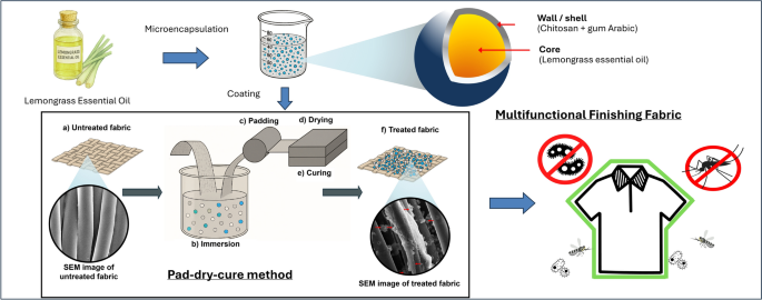 Development of Multifunctional Textiles with Mosquito Repellent and ...