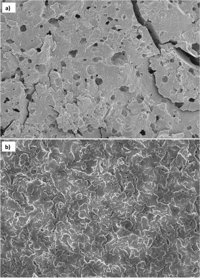 Molecular identification of lactic acid bacteria from traditional ...