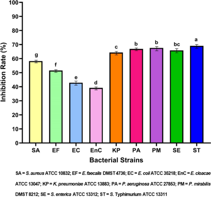 Isolation and assessment of probiotic potential of Acidipropionibacterium acidipropionici C03B ...