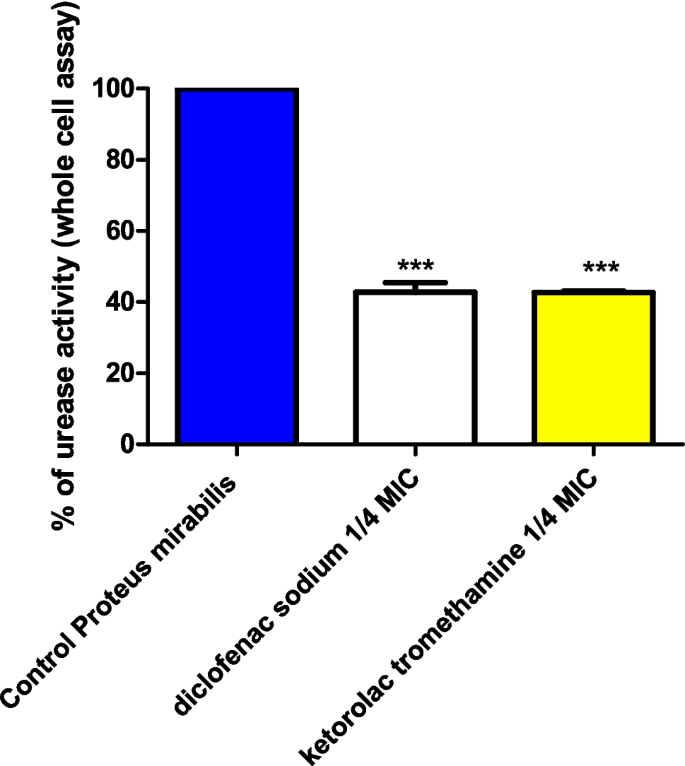 The anti-inflammatory drugs diclofenac and ketorolac inhibit urease ...