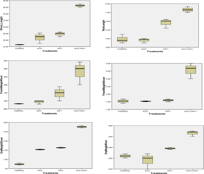 Enhancing okra tolerance to salinity stress: role of PGPR and ...
