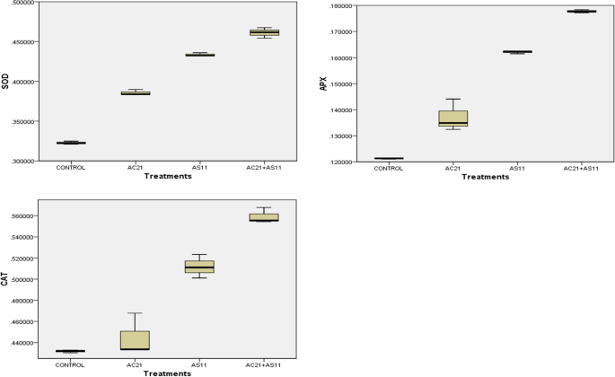 Enhancing okra tolerance to salinity stress: role of PGPR and ...