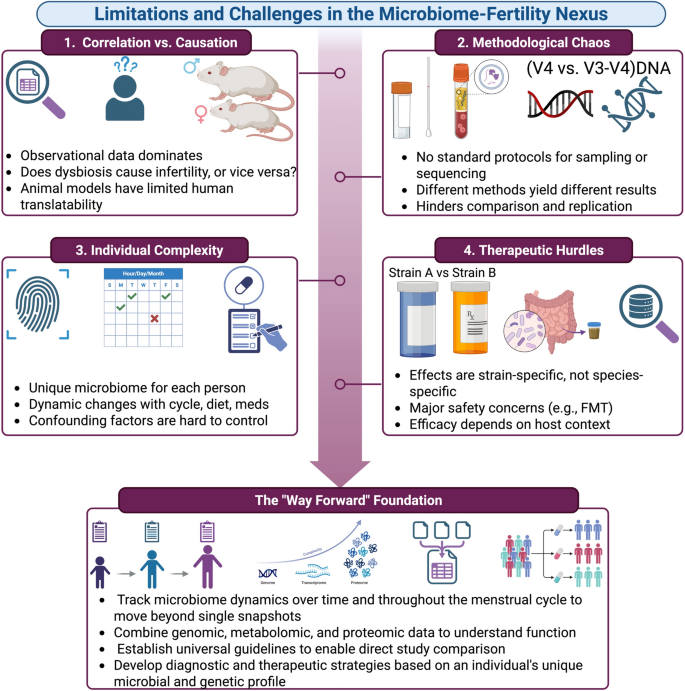 The interplay of microbiome, molecular mechanisms, and fertility -an ...