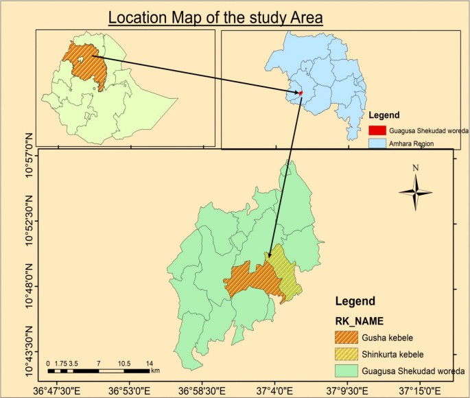 Value Chain Analysis of Potato (Solanum spp.): Evidence from Guagusa ...