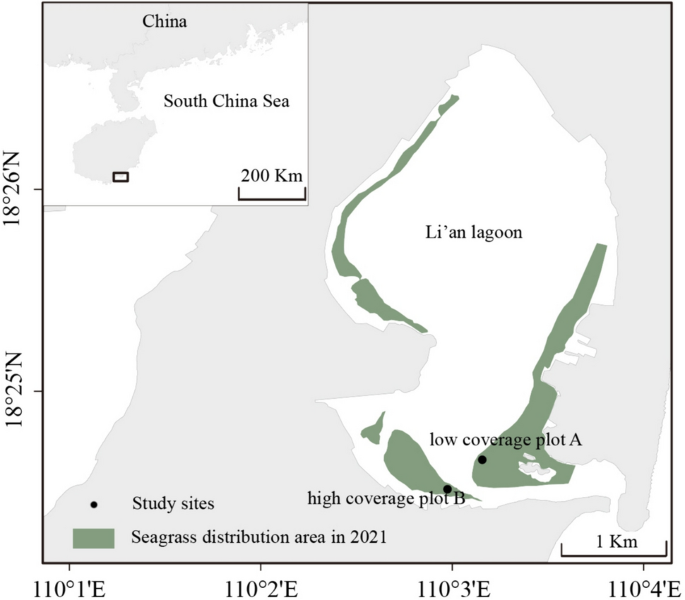 Frequent Flowering but Low Reproductive Success of the Dioecious ...