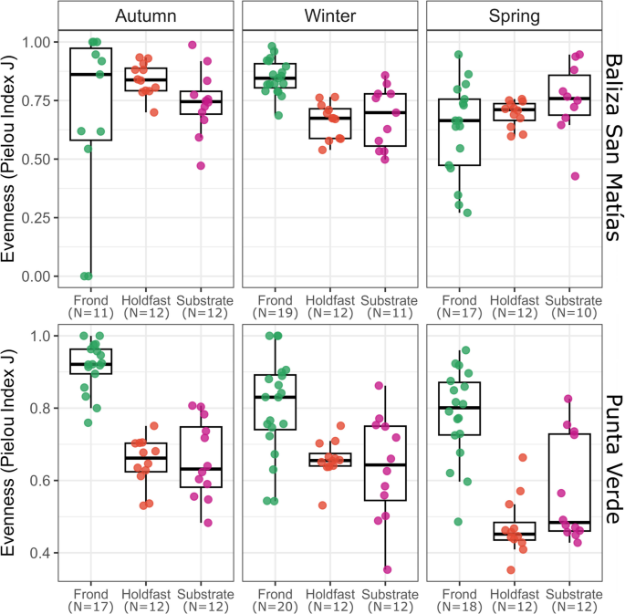 Undaria pinnatifida Creates Novel Habitats and Drives Benthic ...