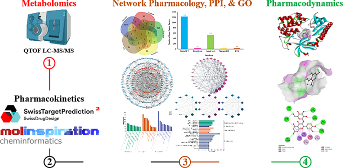 Unveiling the Pharmacological Mechanism of Cosmos Caudatus Compounds as ...