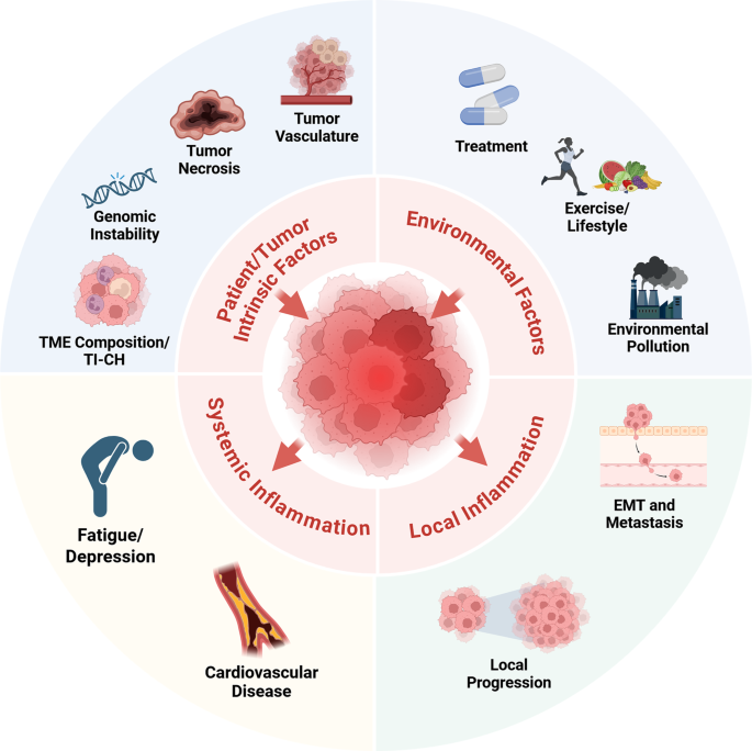 Chronic inflammation and cancer: ASCO 2025 update | memo - Magazine of ...