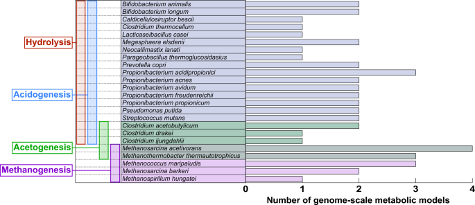 Metabolic modeling of microorganisms involved in anaerobic digestion ...